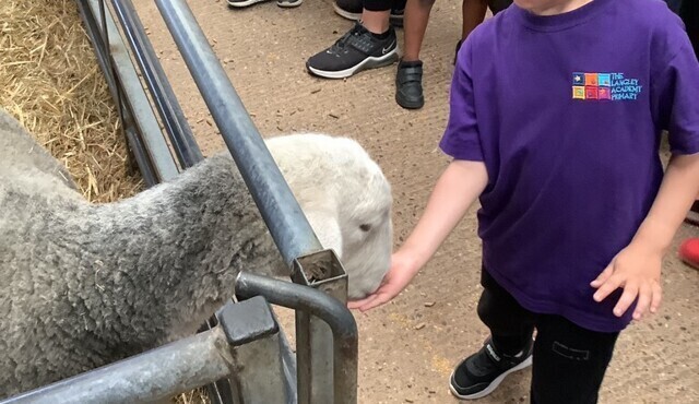 TLAP Nursery’s first school trip to Odds Farm - Latest News - The Arbib ...